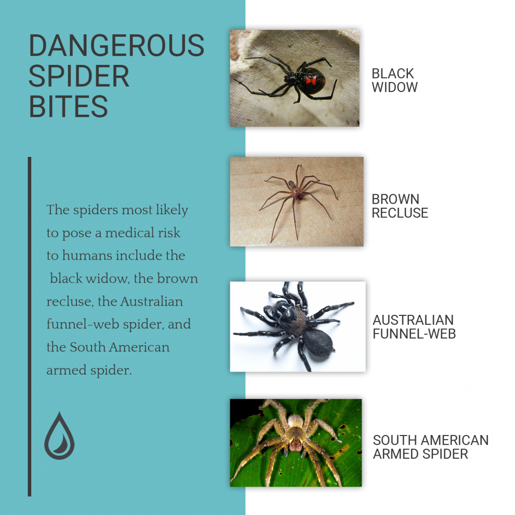 Bites and Stings - The Dermatology Specialists